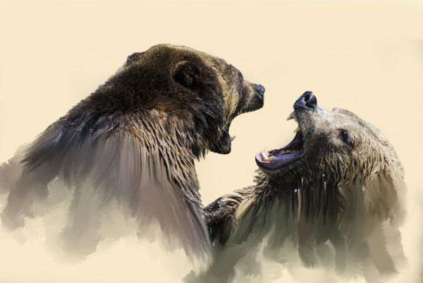 Gary M Slane Art Collection