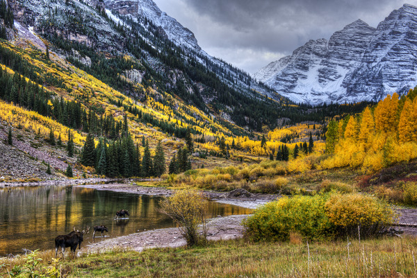 Gary M Slane Art Collection