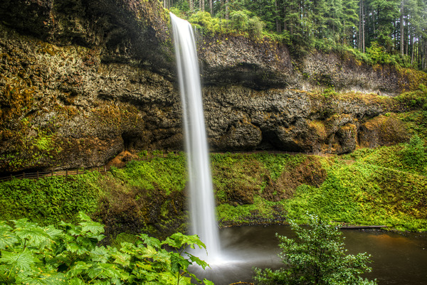 Gary M Slane Art Collection