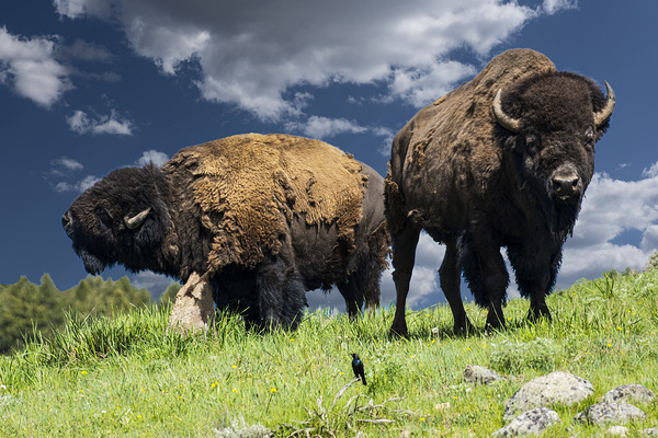 Gary M Slane Art Collection