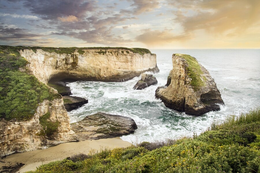 Shark Fin Cove by Gary Geddes Wall Art