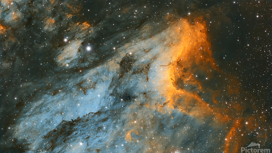 IC 5070 - The Pelican Nebula by Wilmoth Photography Wall Art