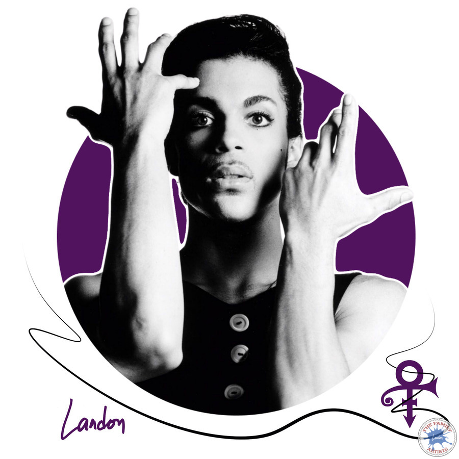 Prince-Rhapsody Dot 2 by Landon Wall Art