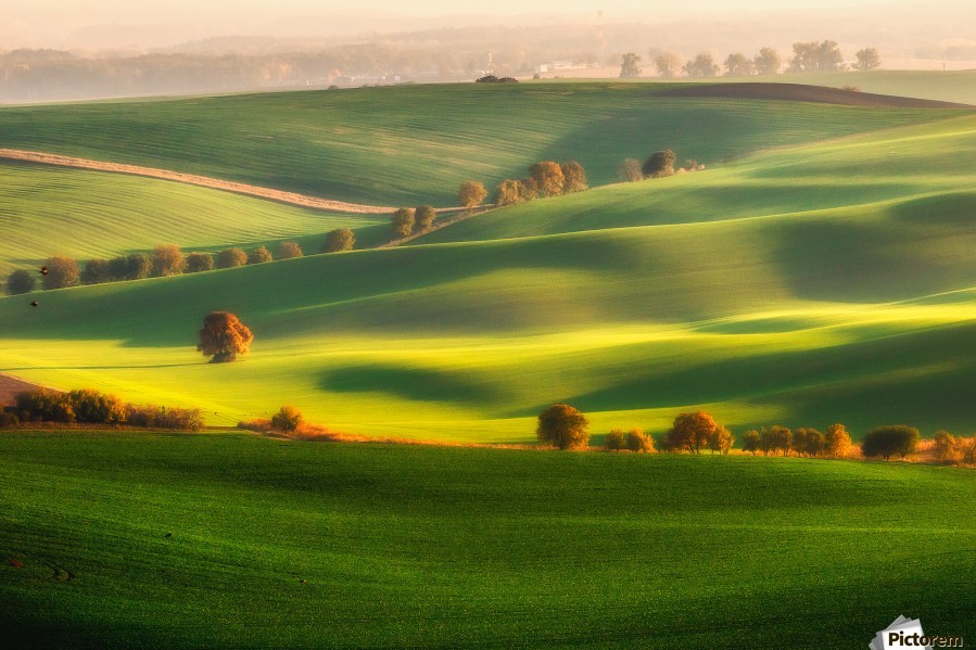 Green fields by 1x Wall Art