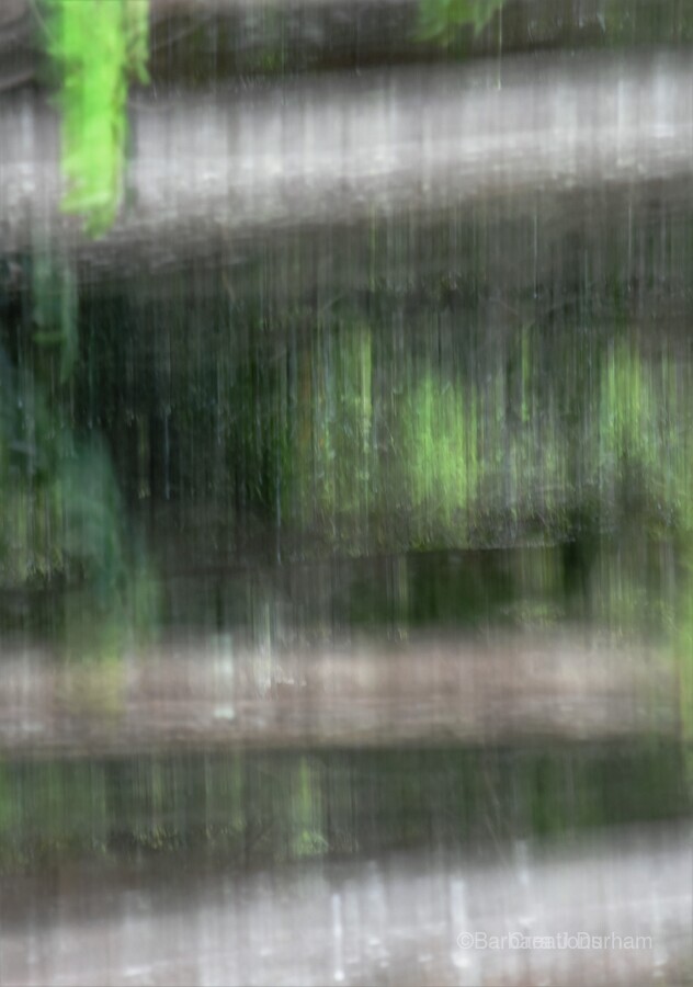 Photo Painting Series No. 2 par Barbara J Durham Creations