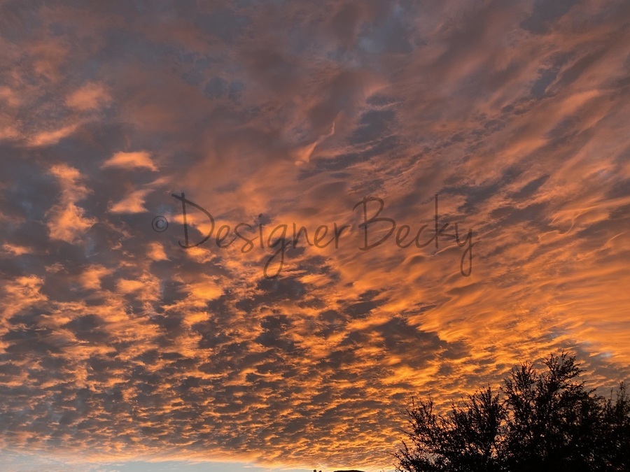 Texas Sunrise by Designer Becky Wall Art