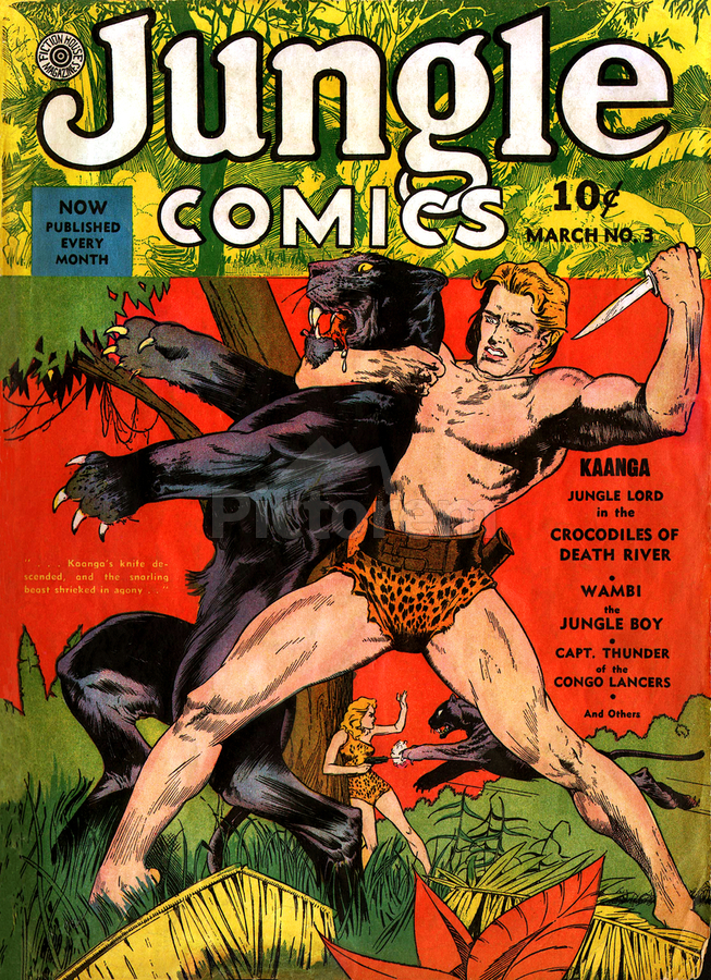 Jungle Comics Tarzan & Black Panther by One Simple Gallery Wall Art