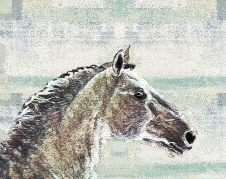 Wavy Horse by Cathleen Klibanoff Wall Art