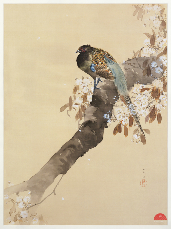 Pheasant on cherry blossom branch 1887-1945 by Ohara Koson 1877-1945. by IStockHistory com Wall Art