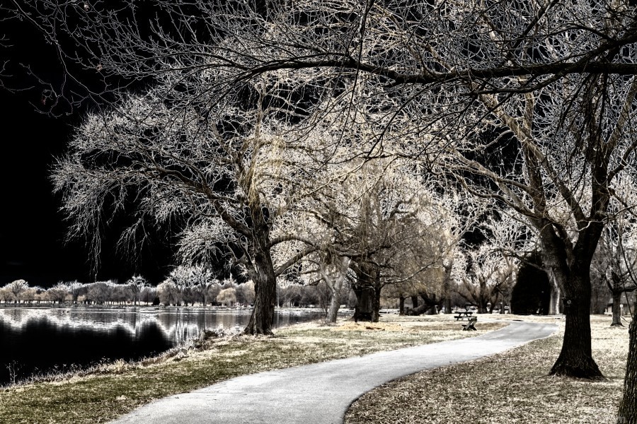 Seneca State Park by William Norton Photography Wall Art