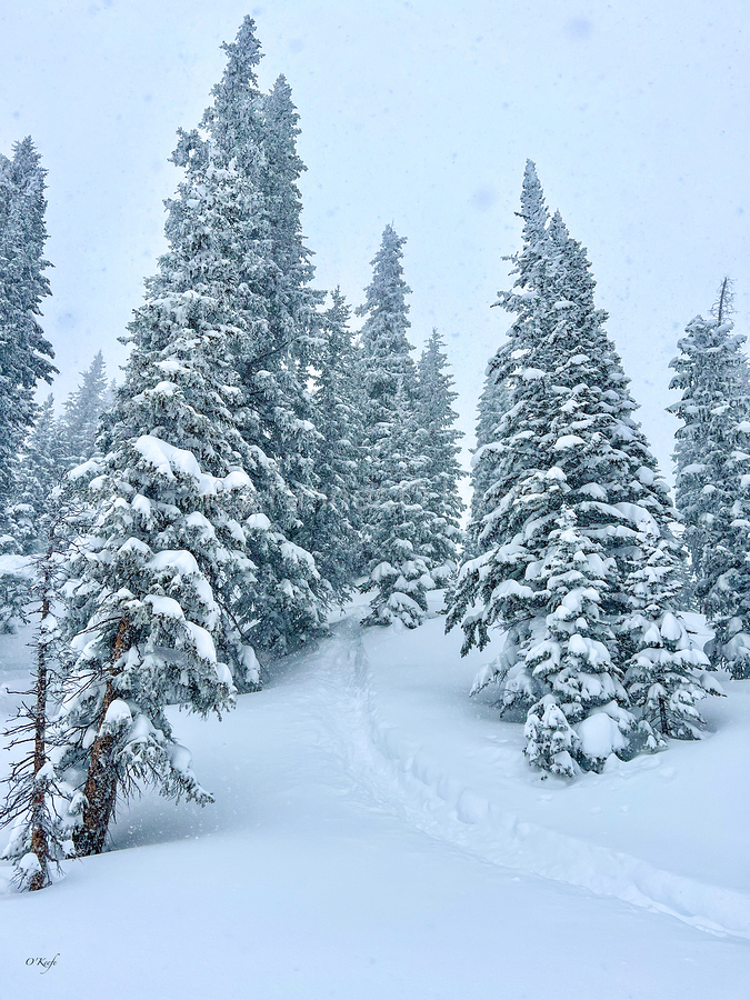 Deep Line by Tanner O Keefe Wall Art