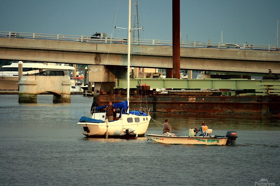 Picture079 by Egalitarian Art Gallery Wall Art