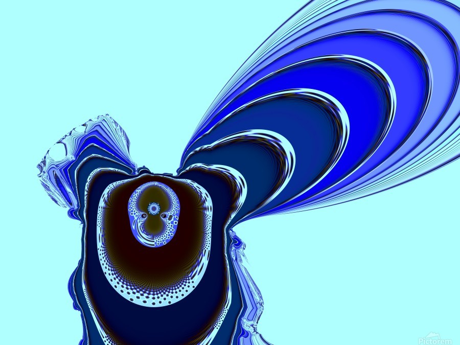 Fly_Fly_Fly by Egalitarian Art Gallery Wall Art