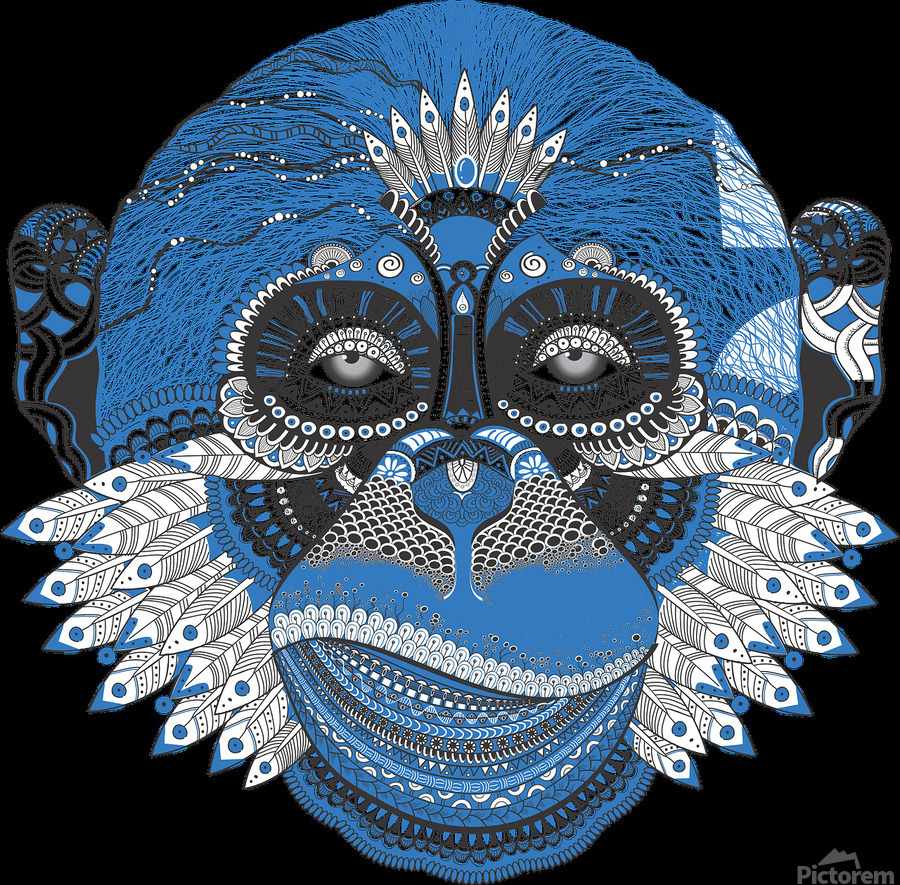 monkey mandala by Jon dev Wall Art