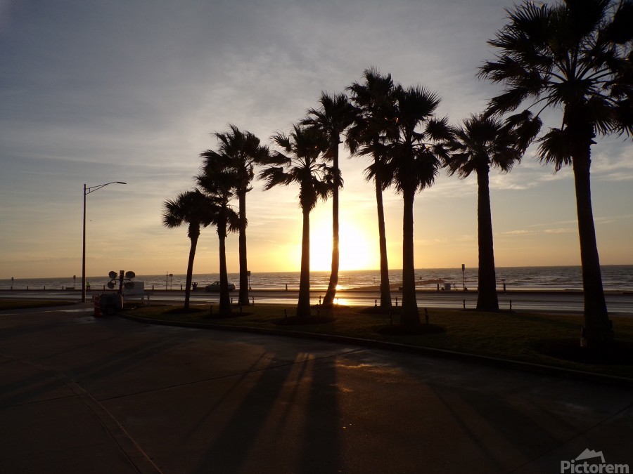 101_0684 by Jolan Cecil Wall Art