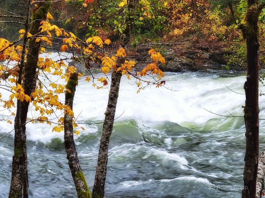 Rushing River by Adam Copp Wall Art