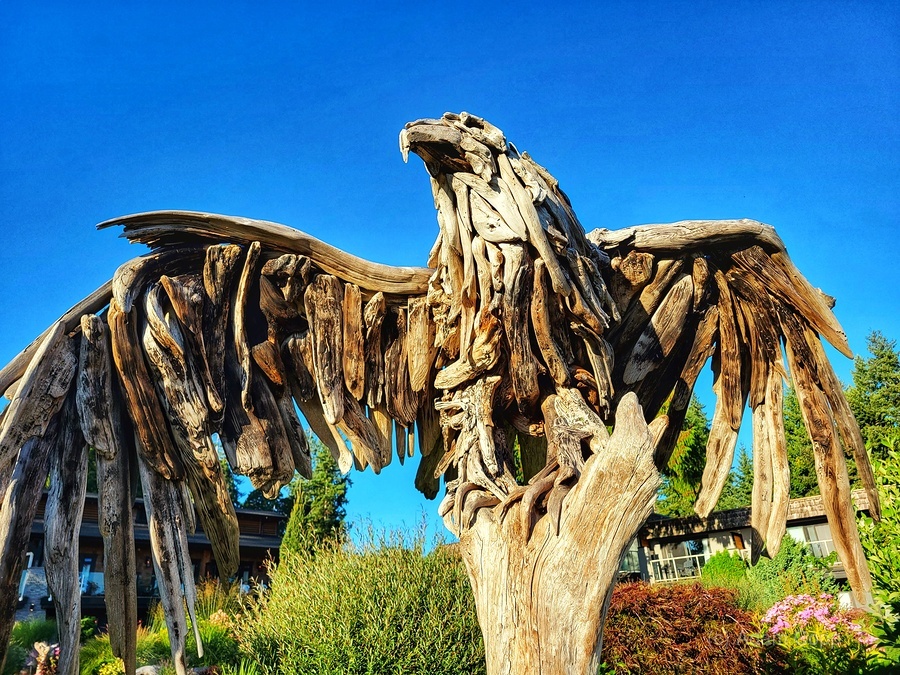 Driftwood Eagle by Adam Copp Wall Art