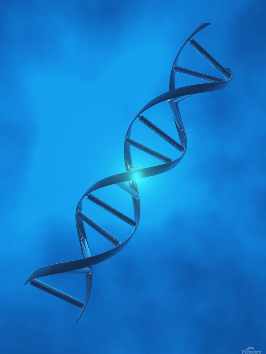 DNA Strand by Bruce Rolff Wall Art