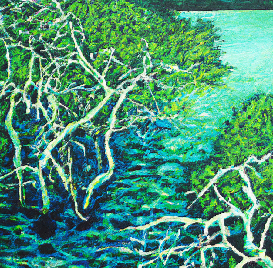 Amongst the Mangroves II by aiddia Wall Art