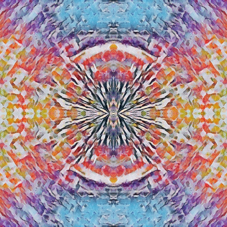Color Burst by Millie R Lissow Wall Art
