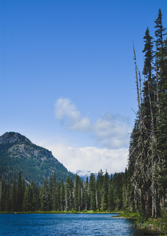 Cooper Lake Shoreline by Wesley Richert Wall Art