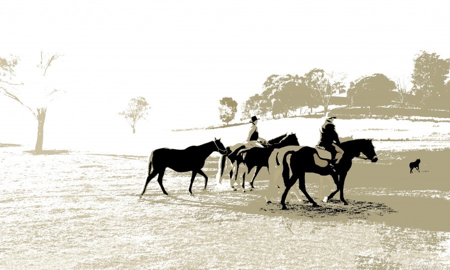 Morning Ride - High Country by Lexa Harpell Wall Art