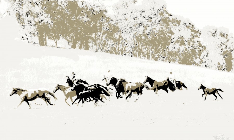 Chasing the Mob - High Country by Lexa Harpell Wall Art