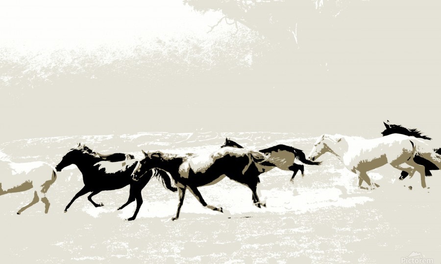 Breakaways - High Country by Lexa Harpell Wall Art