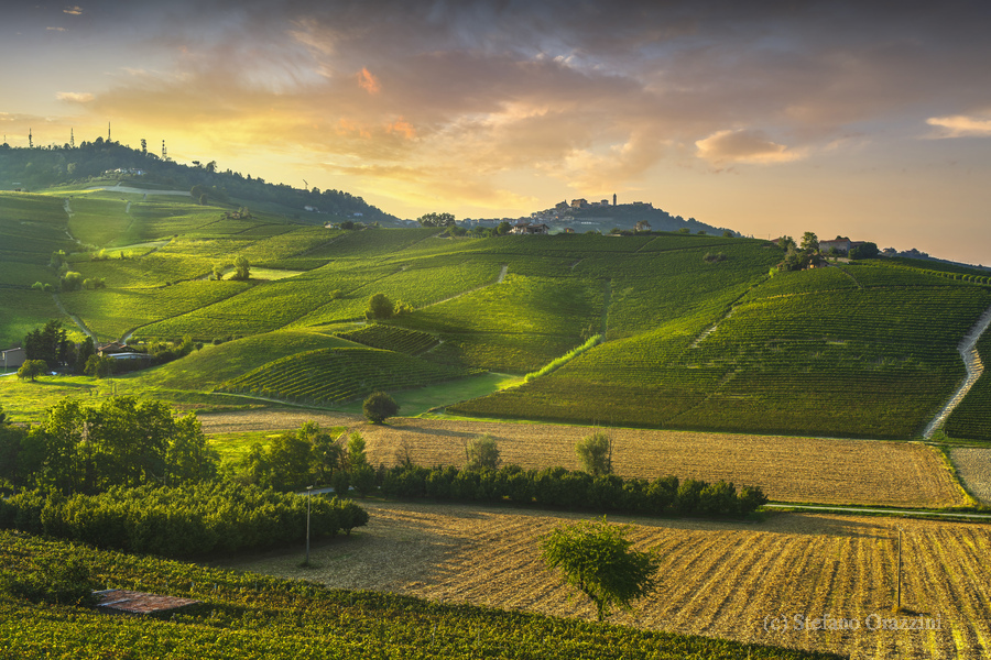 Langhe vineyards landscape. Barolo and La Morra. Piedmont Italy par ...