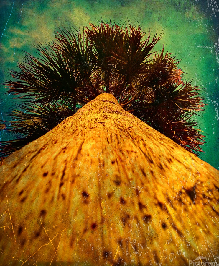 The Palm 2 by Noah Olen Wall Art