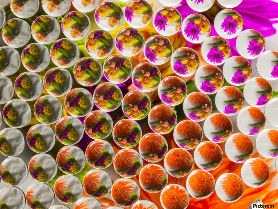 FLOWERS REFRACTION 1 par PJ Lalli