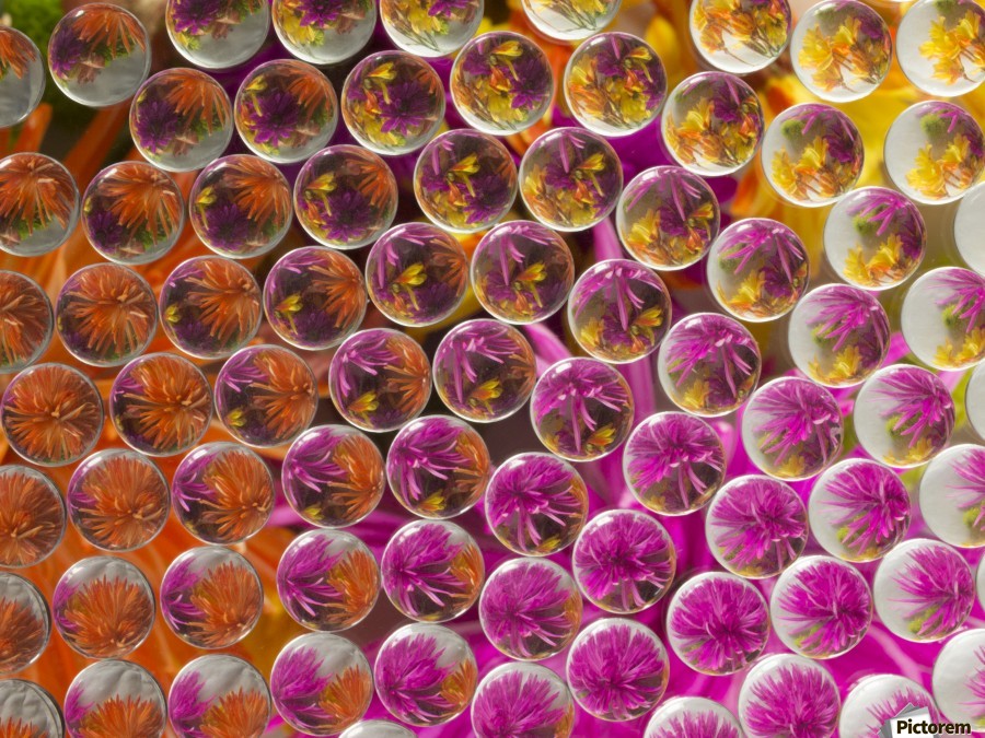 FLOWERS REFRACTION 5 by PJ Lalli Wall Art