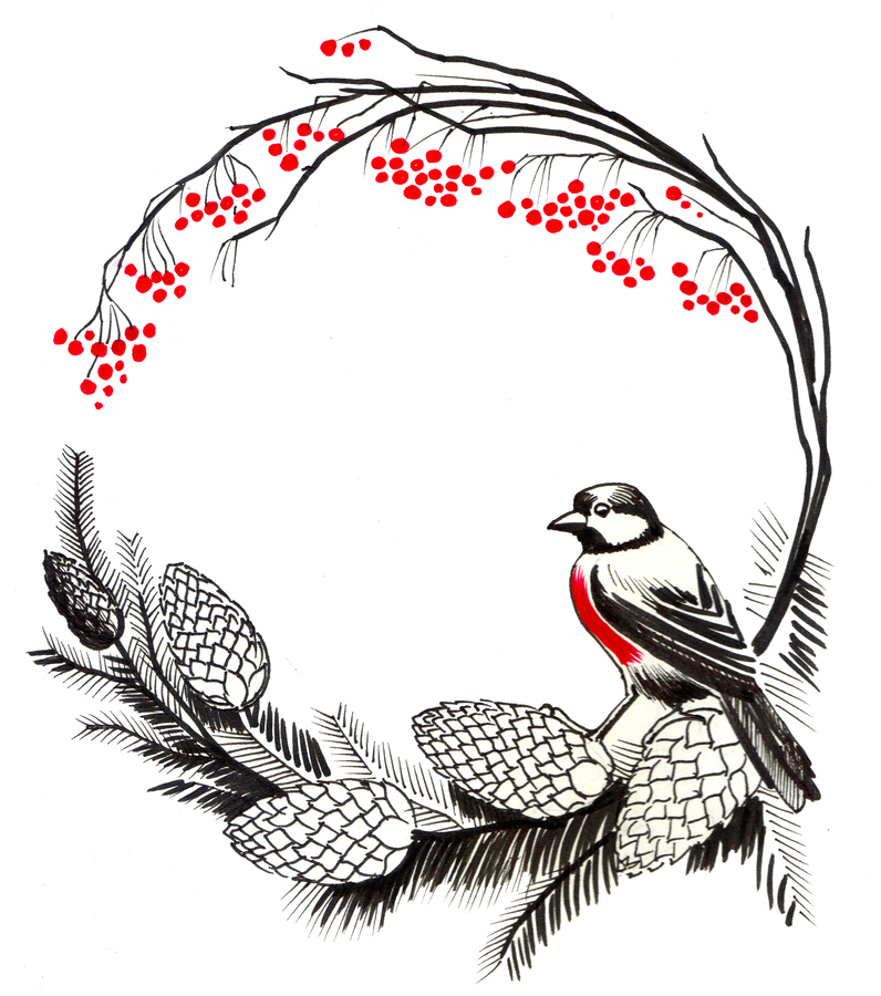 Bird and red berries. Ink drawing par Alex Berd