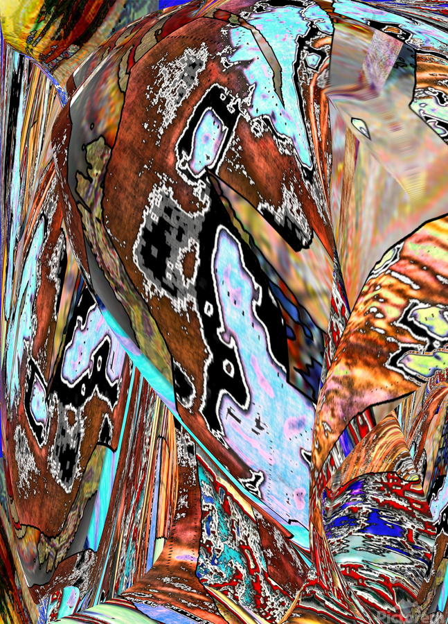 Donggi by Helmut Licht Wall Art