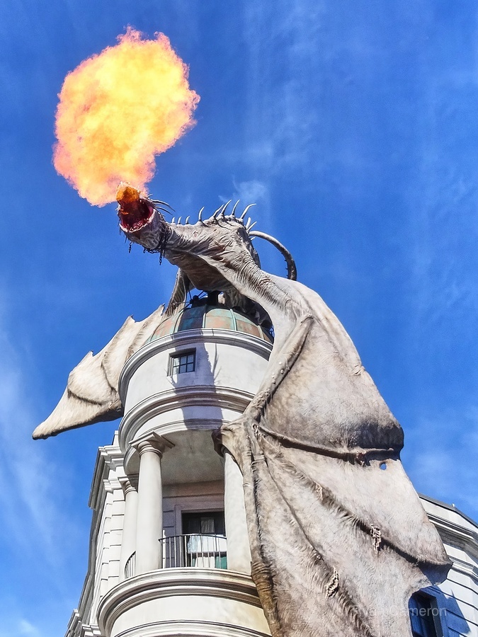 Firebreathing Dragon by Ryan Cameron Wall Art