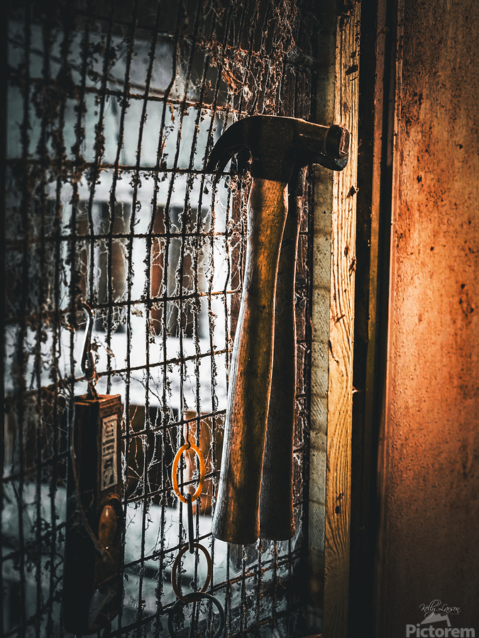 Hammer Head II by Kelly S Larson Wall Art