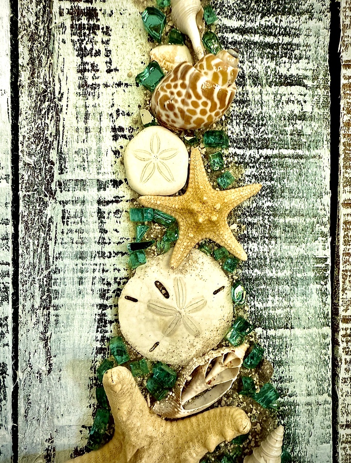 She Sells Sea Shells by Bill Swartwout Photography Wall Art