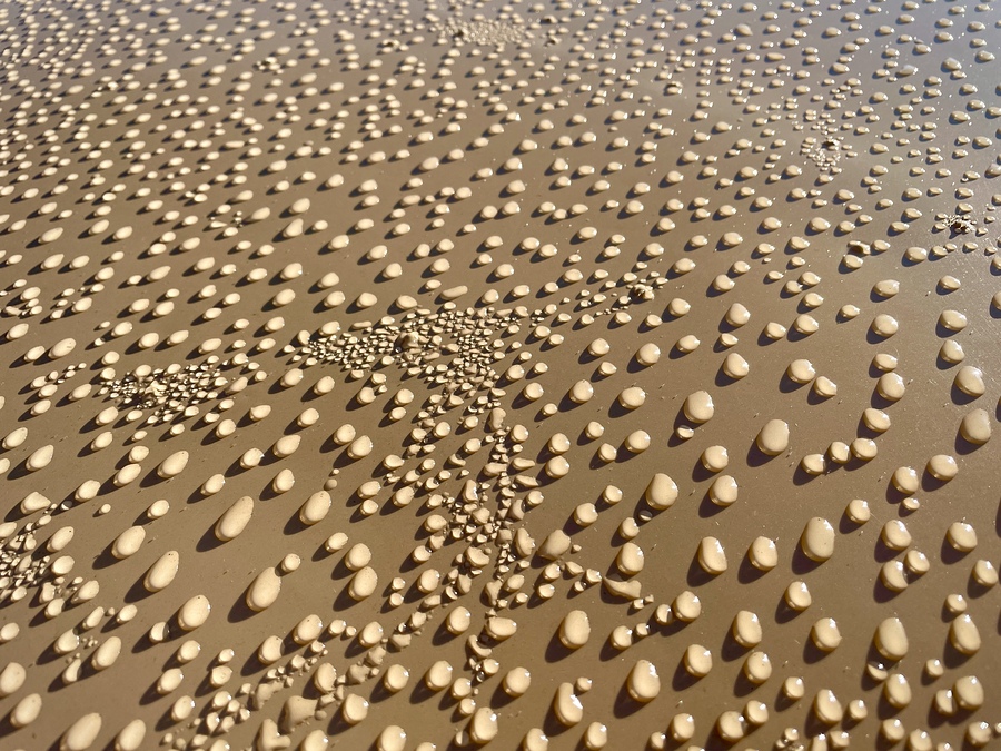 Morning Dew on an Ercoupe Wing by Bill Swartwout Photography Wall Art