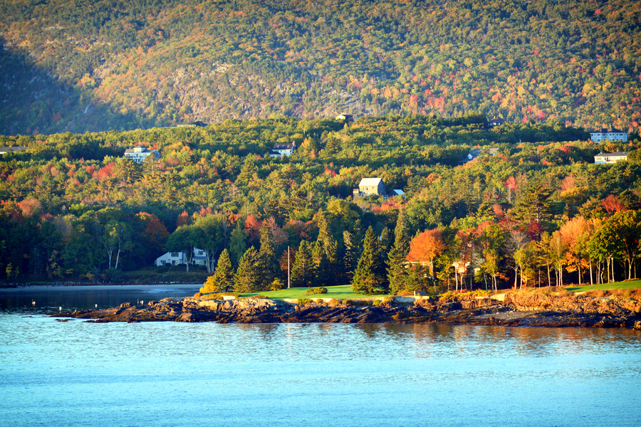 Bar Harbor Fall Foliage 0305 by Bill Swartwout Photography Wall Art