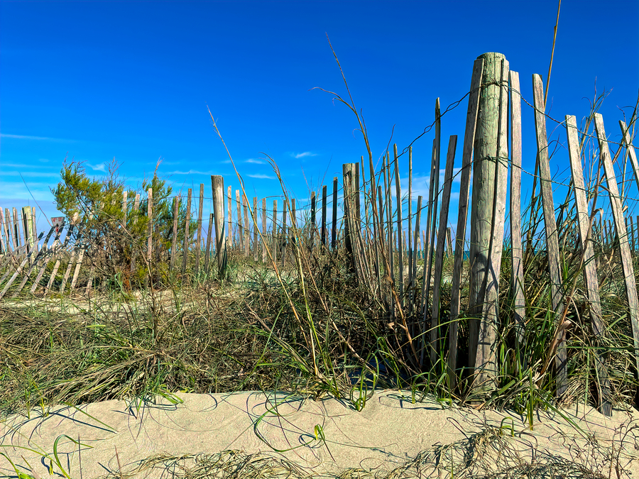Dune Fence for the Beach by Bill Swartwout Photography Wall Art