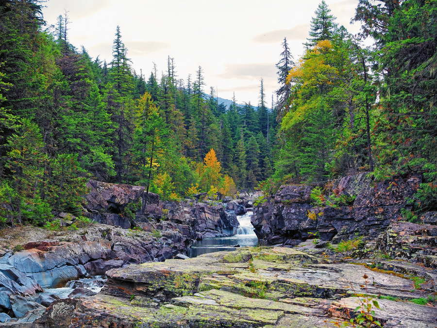 Lake McDonald Falls by Bill Swartwout Photography Wall Art
