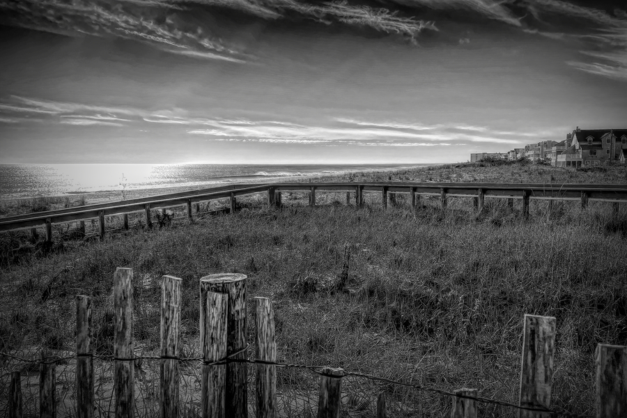 Fenwick Island Beach and Dune Crossing B&W by Bill Swartwout ...