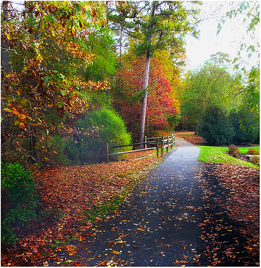 Lets Go For A Walk by Arnie Goldstein Wall Art