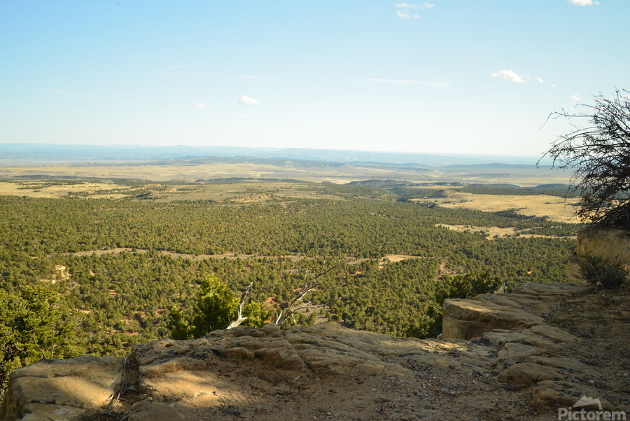 Cliff Overlooking Forest by PieLar Inspirations Wall Art