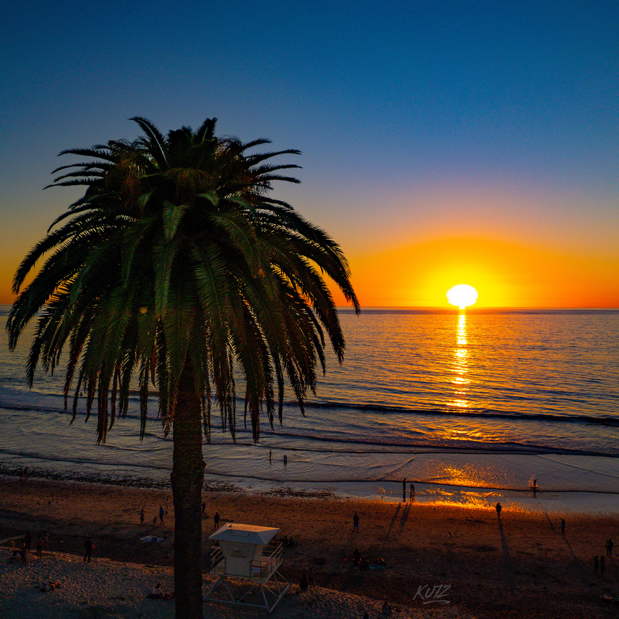 The Palm square by KutzImages Wall Art