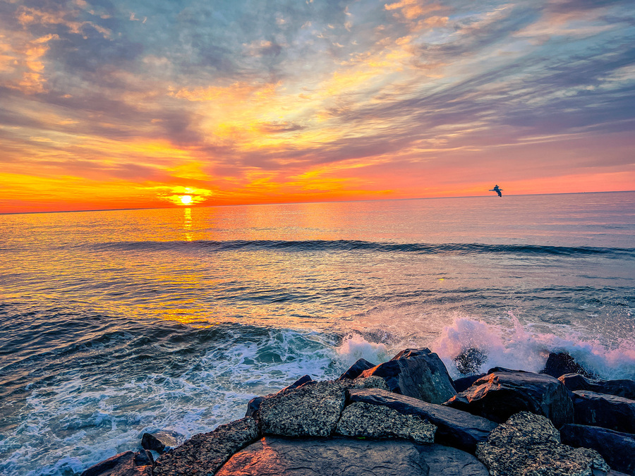 Illuminate The Future by Living Breezy Studios Wall Art