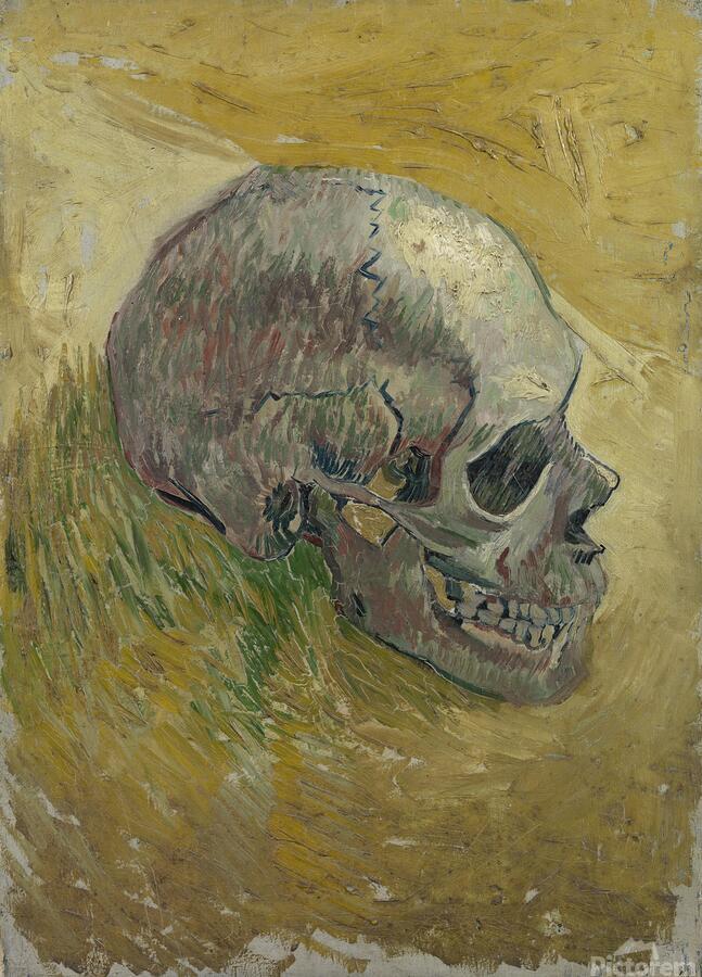 Skull by Vincent van Gogh by Tony Tudor Wall Art
