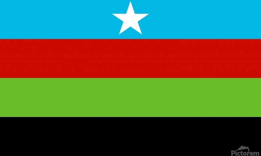 Somali Bantu Liberation Movement Flag by Tony Tudor Wall Art