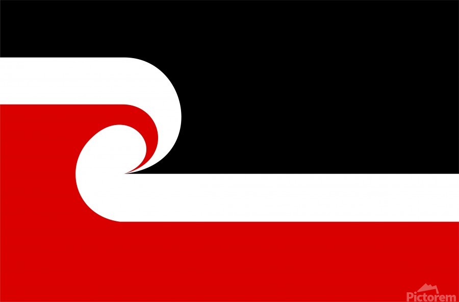maori flag par Tony Tudor