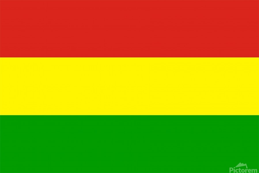 rastafarian flag by Tony Tudor Wall Art